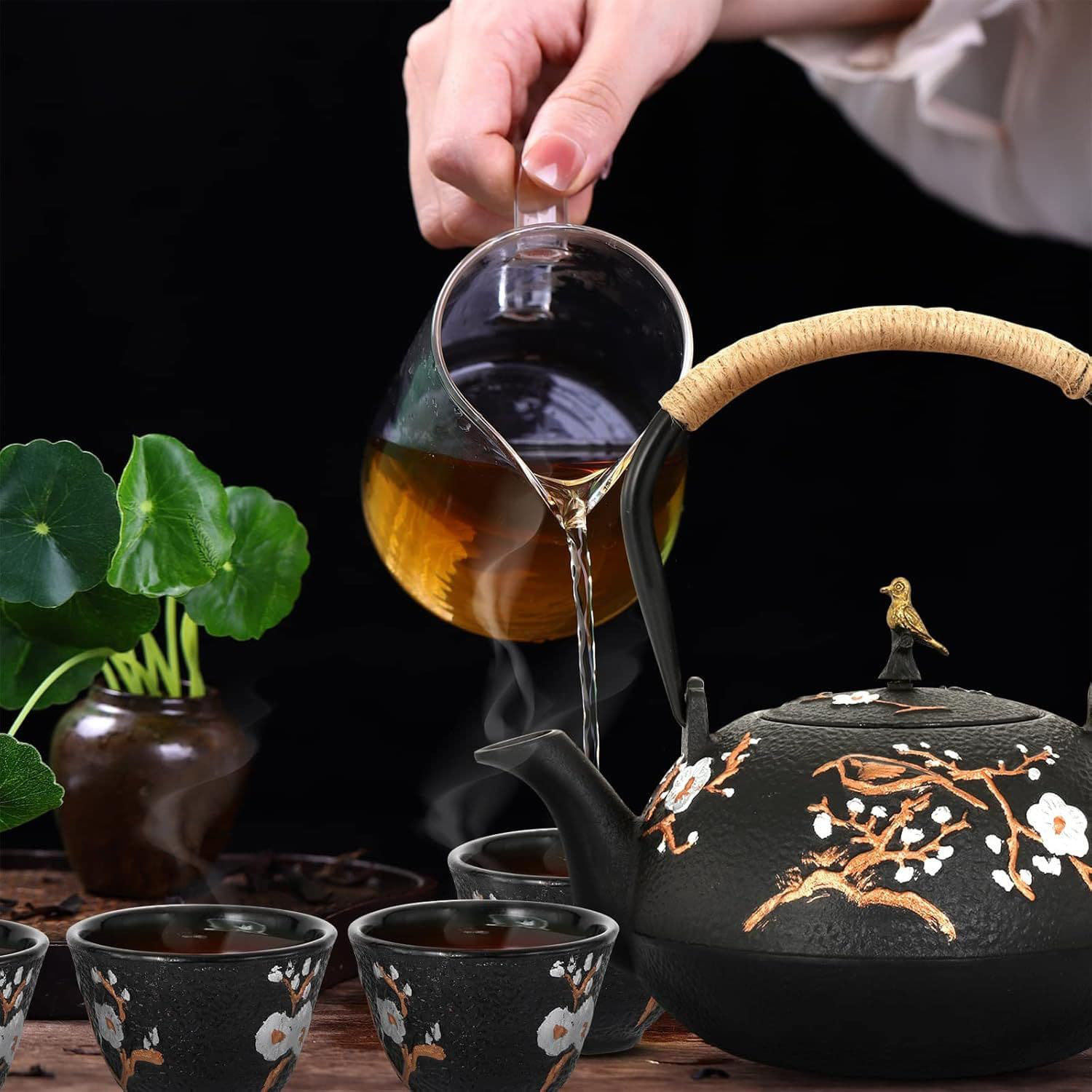 HAPIAM Cast Iron Japanese Tea Kettle Set: 1200ml Capacity | Wayfair