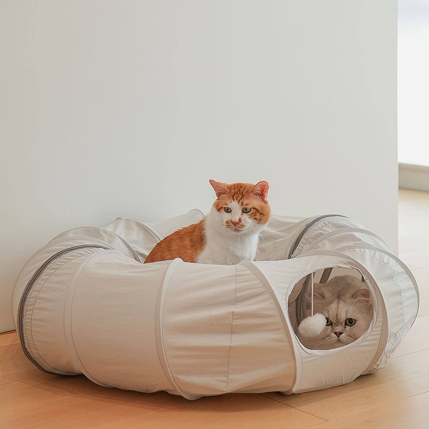 Tucker Murphy Pet™ Emelen Portable Cat Playpen | Wayfair