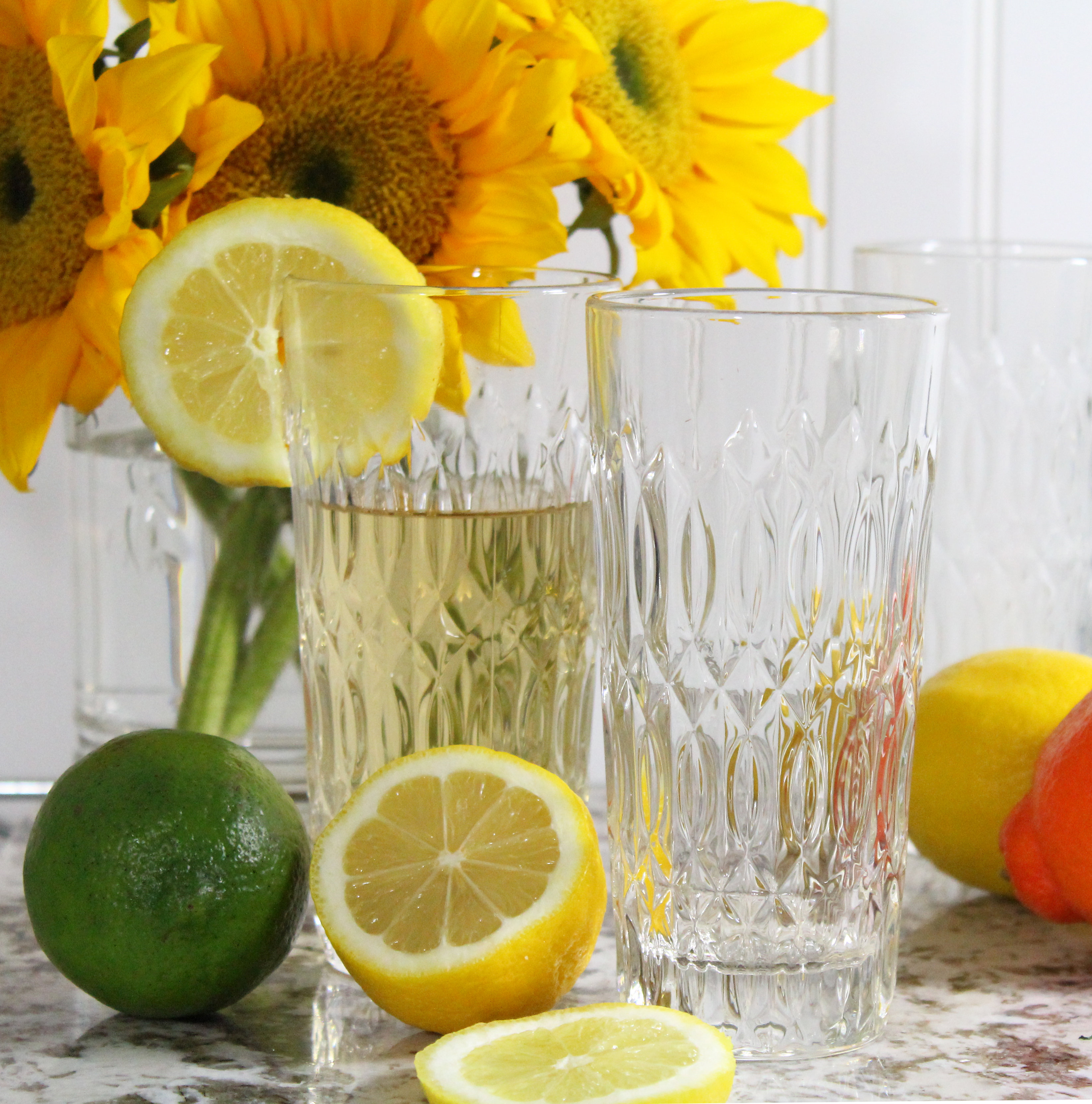 La Rochere Verone 12 oz. Double Old Fashioned Glasses | Wayfair