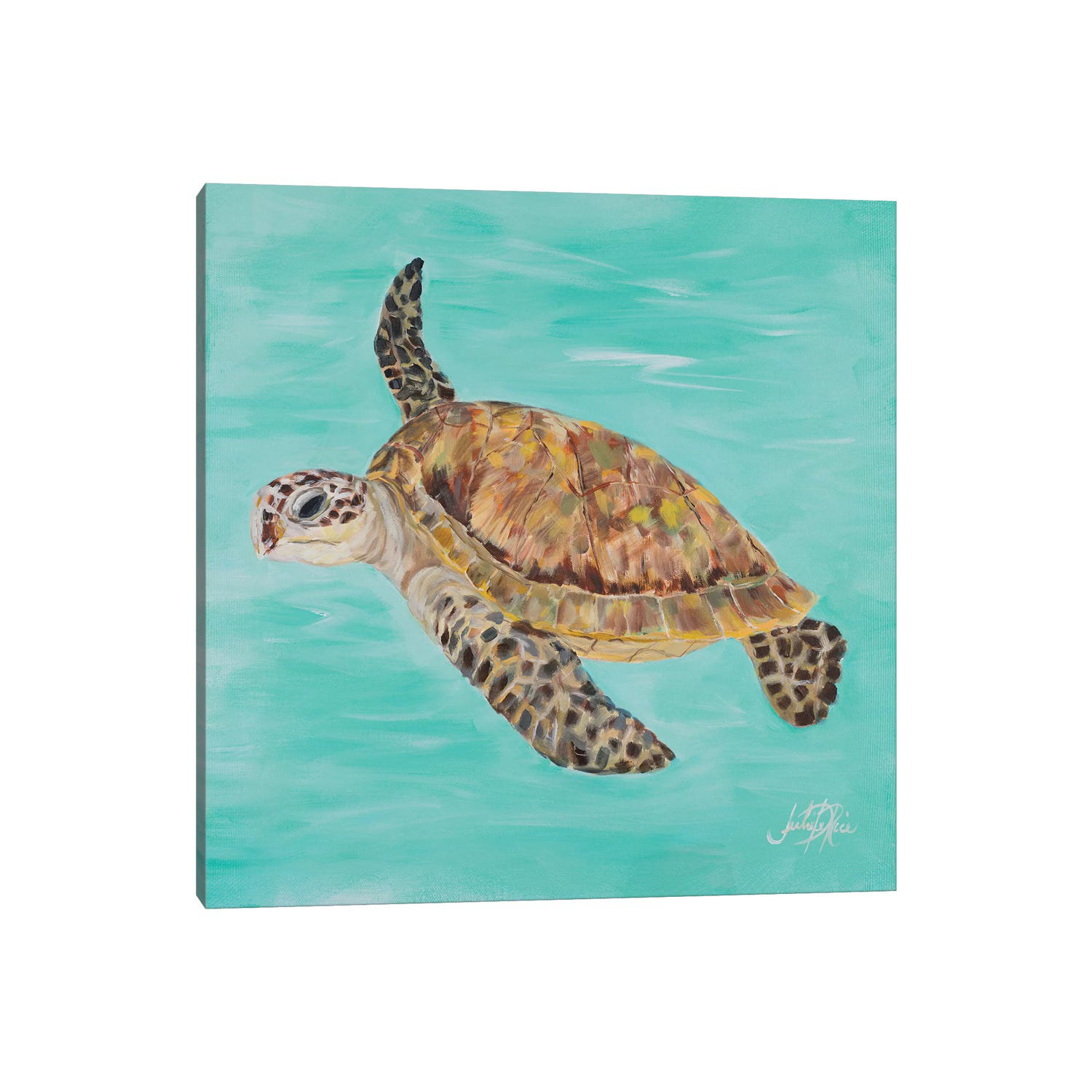 Sansibar Home Sea Turtle II by Julie Derice - Wrapped Canvas Painting ...