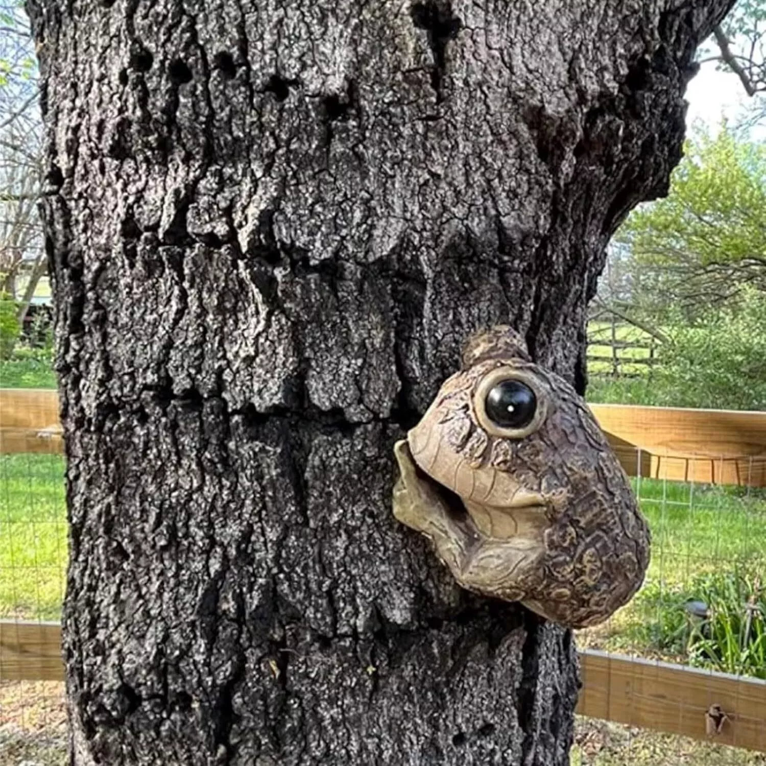 Ophelia & Co. Frog Tree Hugger Quiet Frog Tree Peeker Garden Tree ...