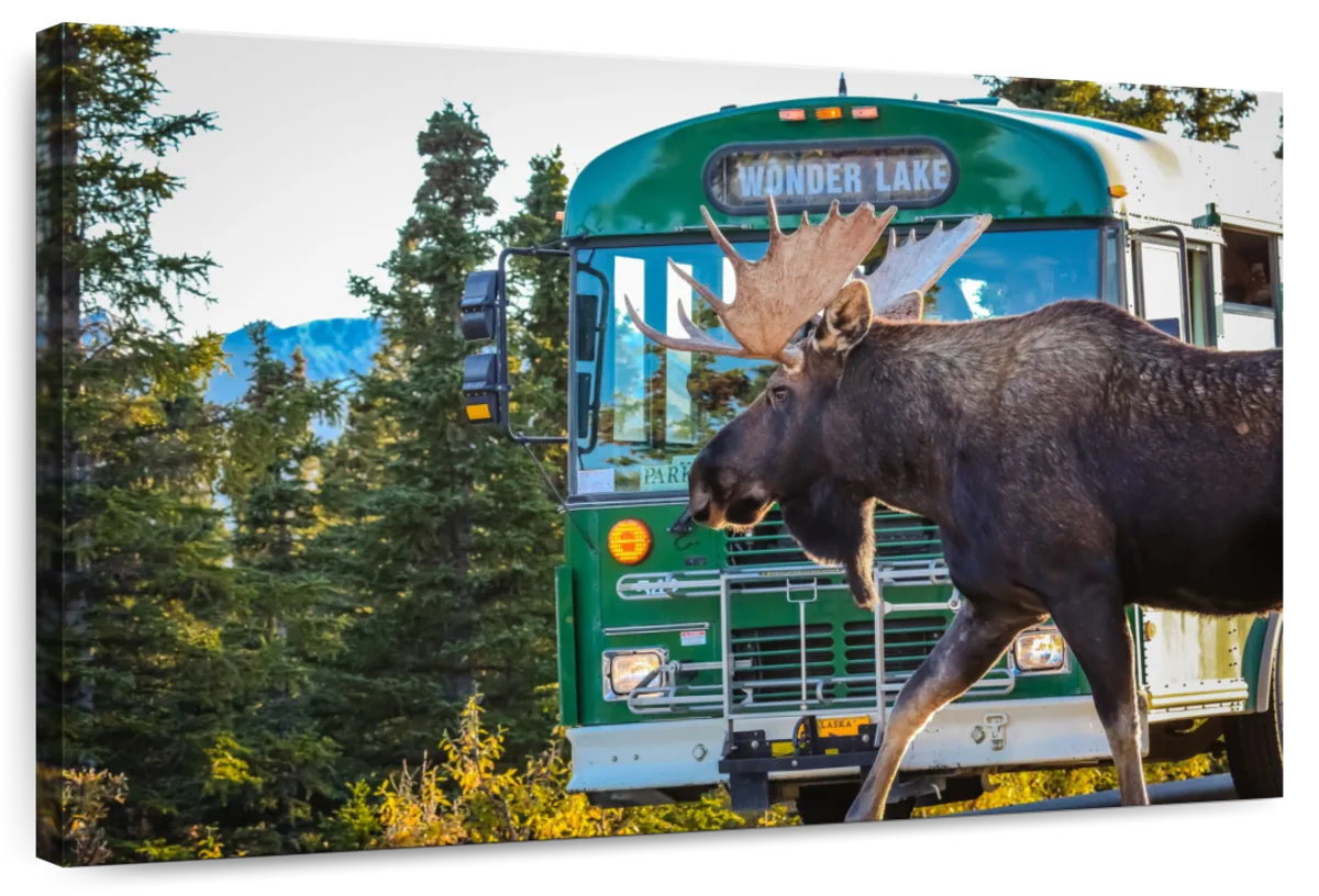 Ebern Designs Crowle Denali Moose - Wayfair Canada