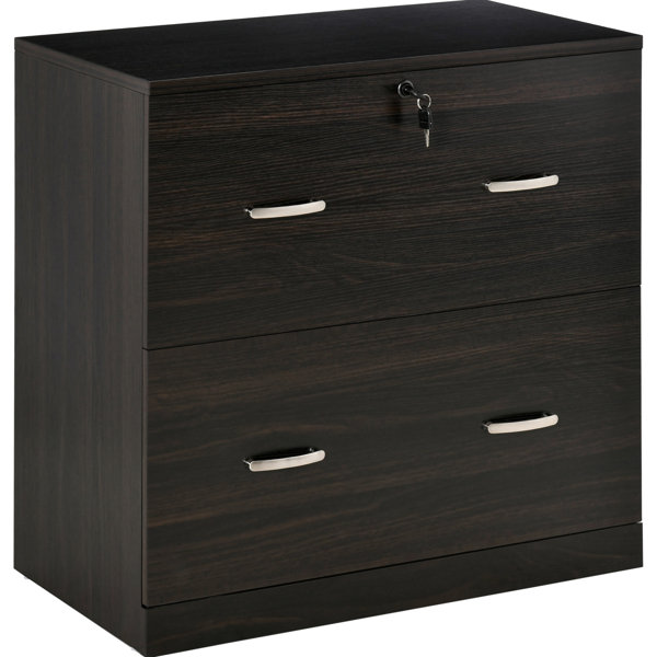 Latitude Run® Home Office File Storage Cabinet, 2 Drawers, Locked ...