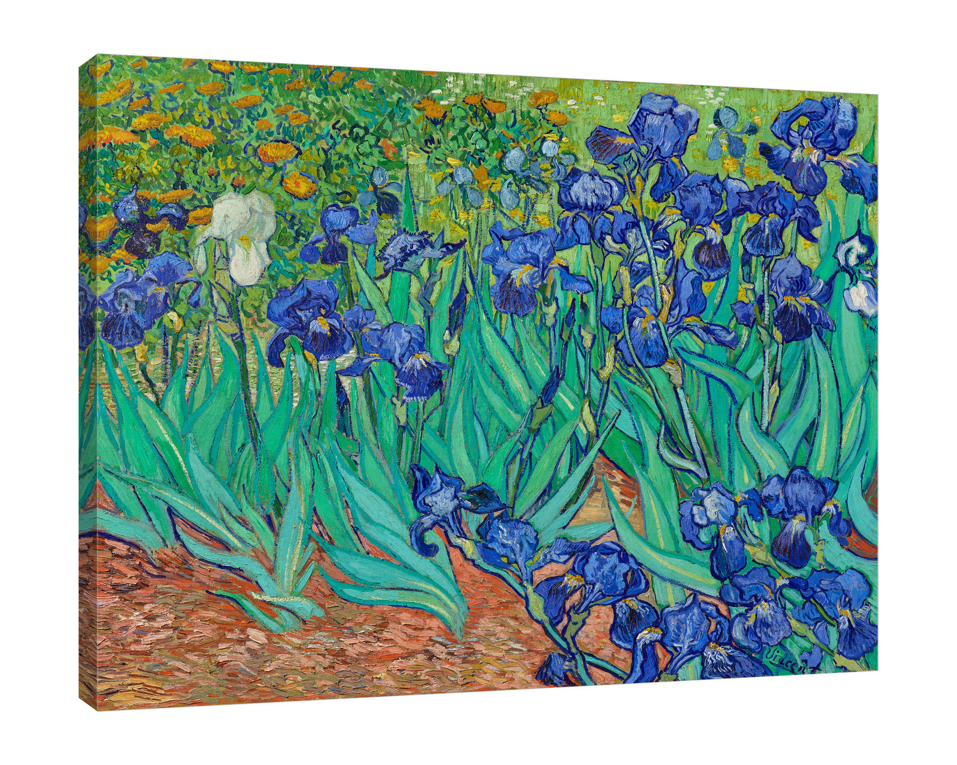 Jaxson Rea Vincent Van Gogh Irises by Vincent Van Gogh - Wrapped Canvas ...