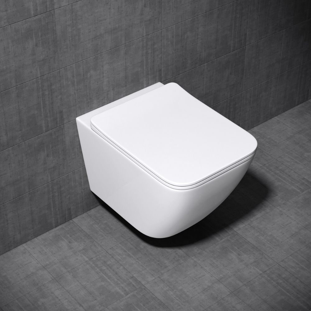 Ivy Bronx Ceramic Rimless Wall Hung Square Toilet -Short Projection ...