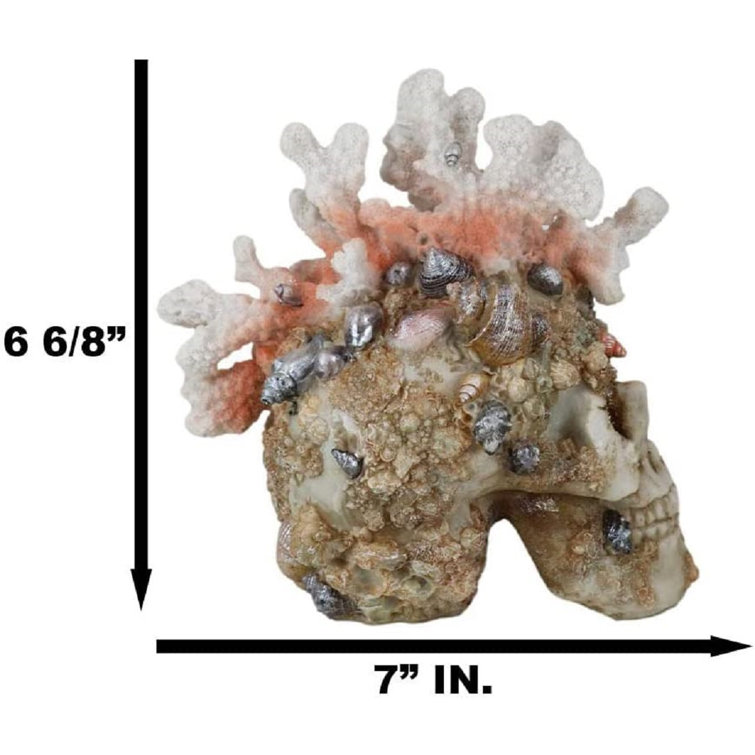 Wrought Studio Delitha Explorer the Great Barrier Coral Reef Shells And ...