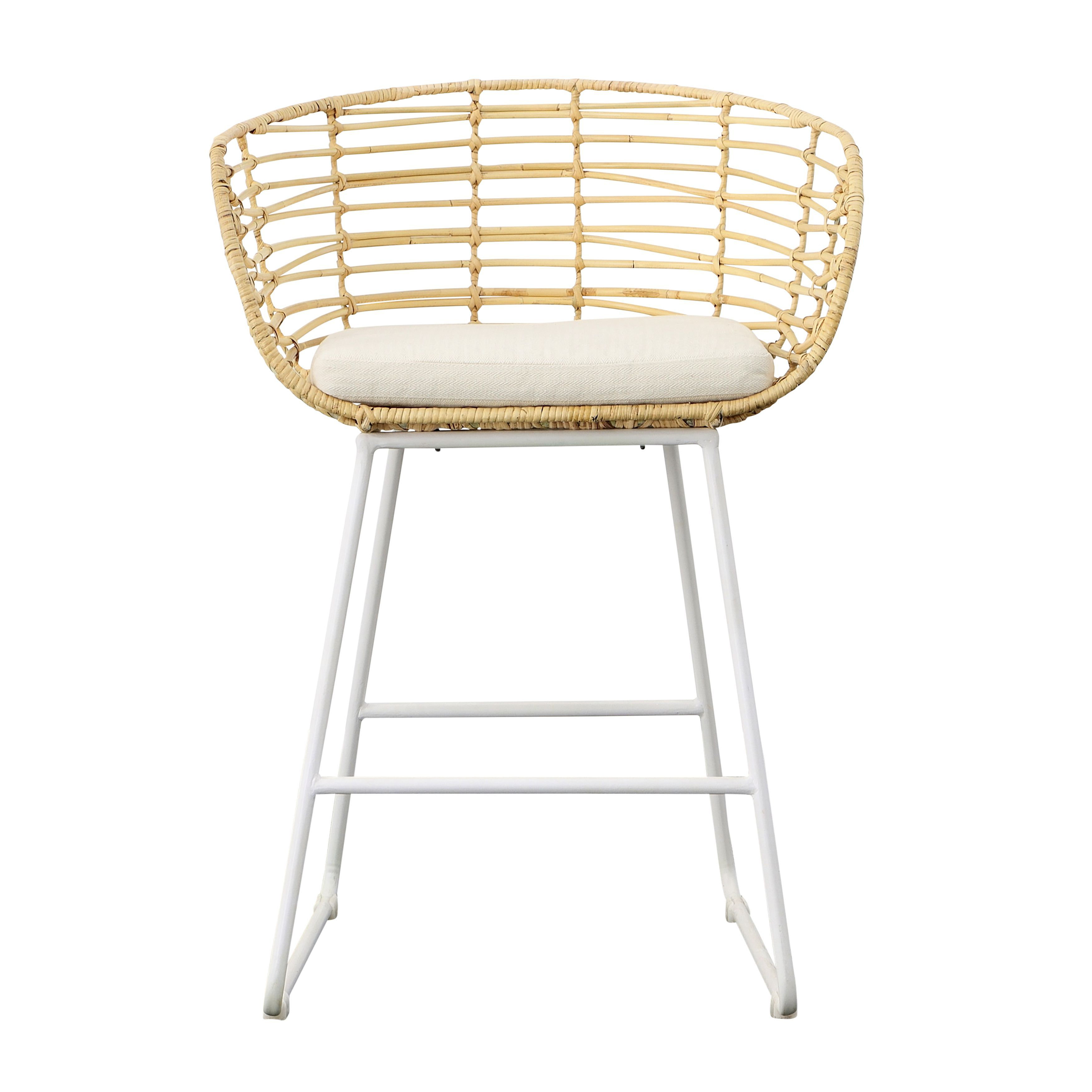 Bay Isle Home Amirra Counter Stool with Metal Frame - Wayfair Canada