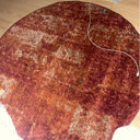 Williston Forge Veyo Abstract Rug & Reviews | Wayfair