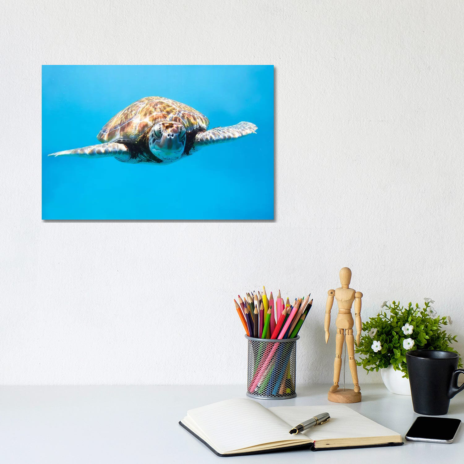 East Urban Home Sea Turtle II by Matteo Colombo - Photograph Print ...