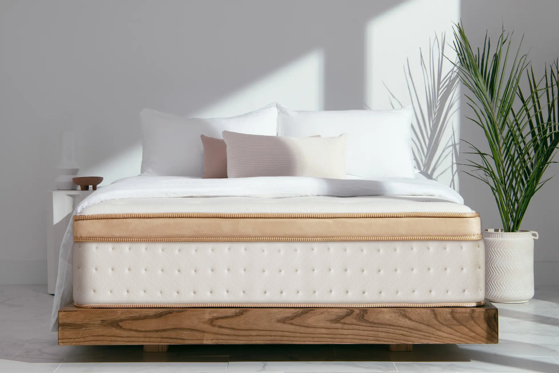Langfang Liu tai Furniture Pillow-Top Pocket Sprung Mattress & Reviews ...