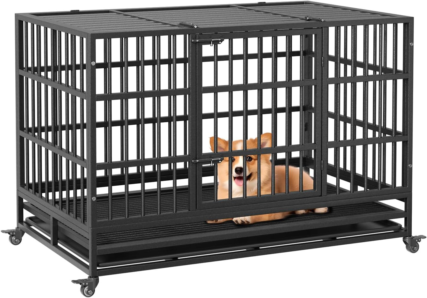 Archie & Oscar™ Heavy Duty Foldable Indoor Dog Cage - - Wayfair Canada
