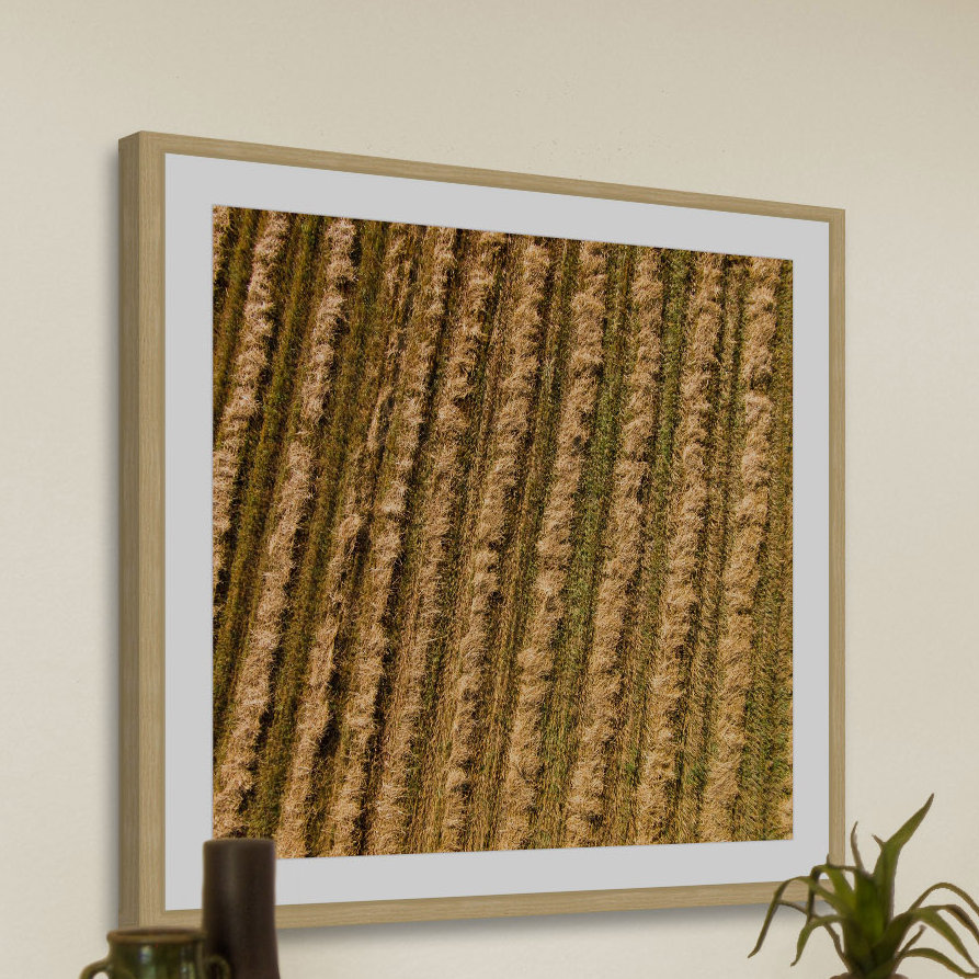 Marmont Hill 'Tilled Field' by Karolis Janulis Framed Painting Print ...