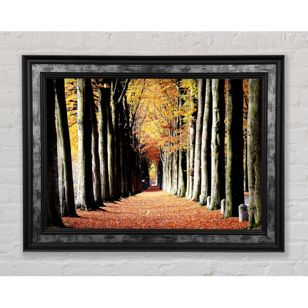 Bright Star Woodland Walk - Print | Wayfair.co.uk
