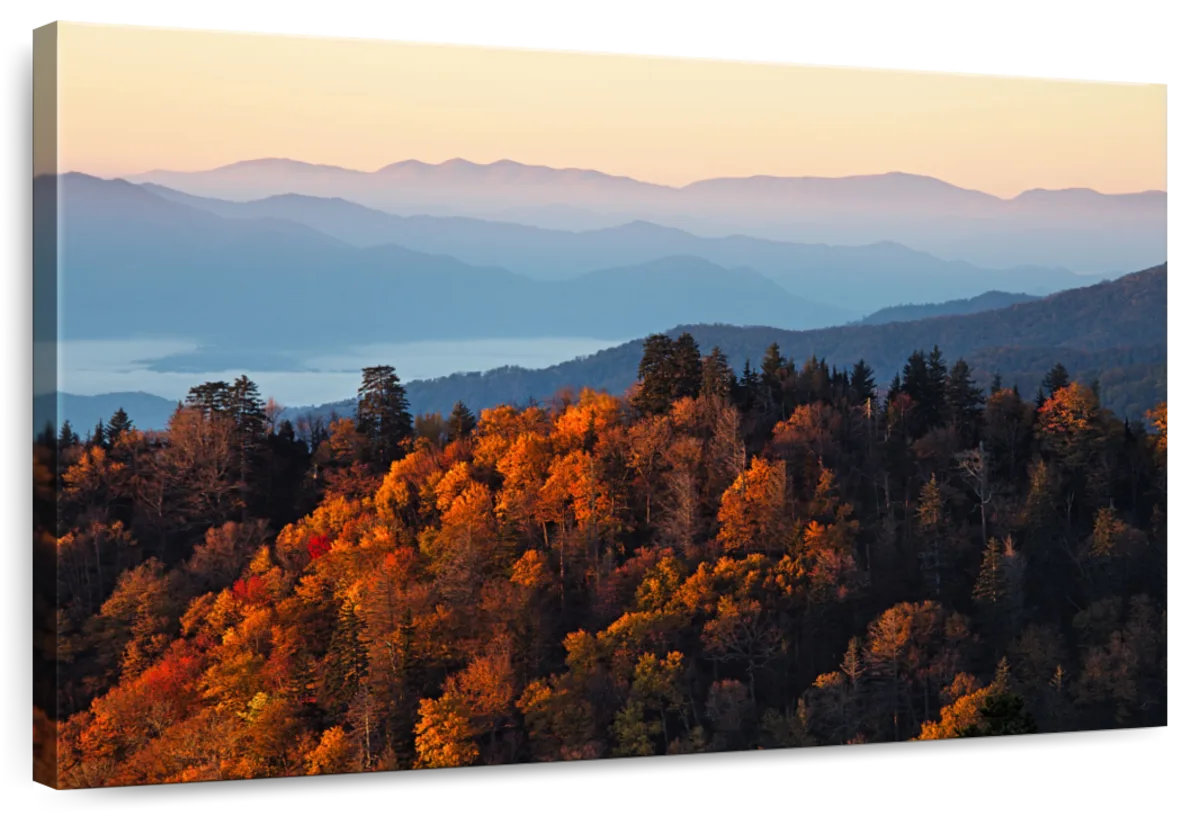 Millwood Pines Alvord Autumn Mountain | Wayfair