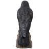 Design Toscano Giant Gothic Raven Statue | Wayfair