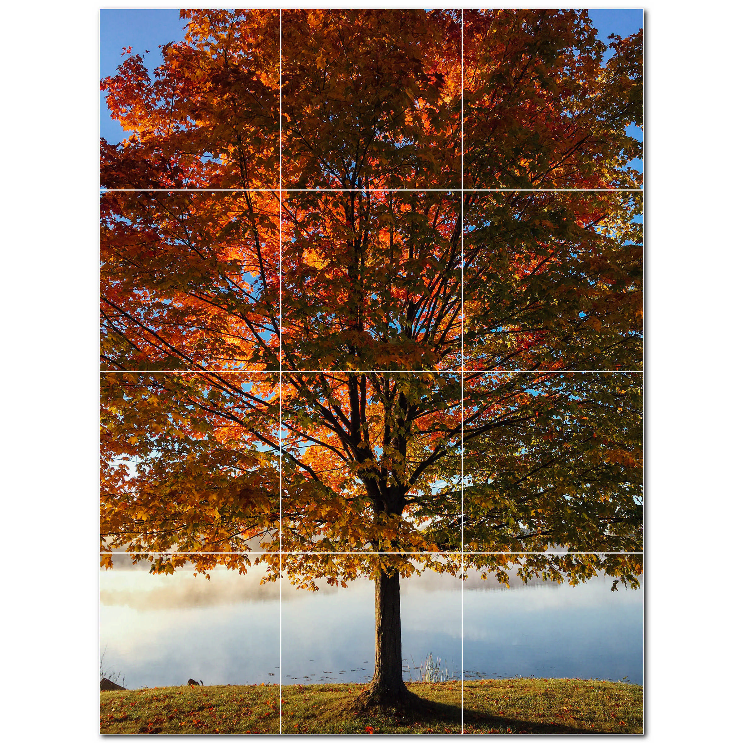 Picture-Tiles.com Autumn Photo 12'' x 12'' Satin Ceramic Decorative ...