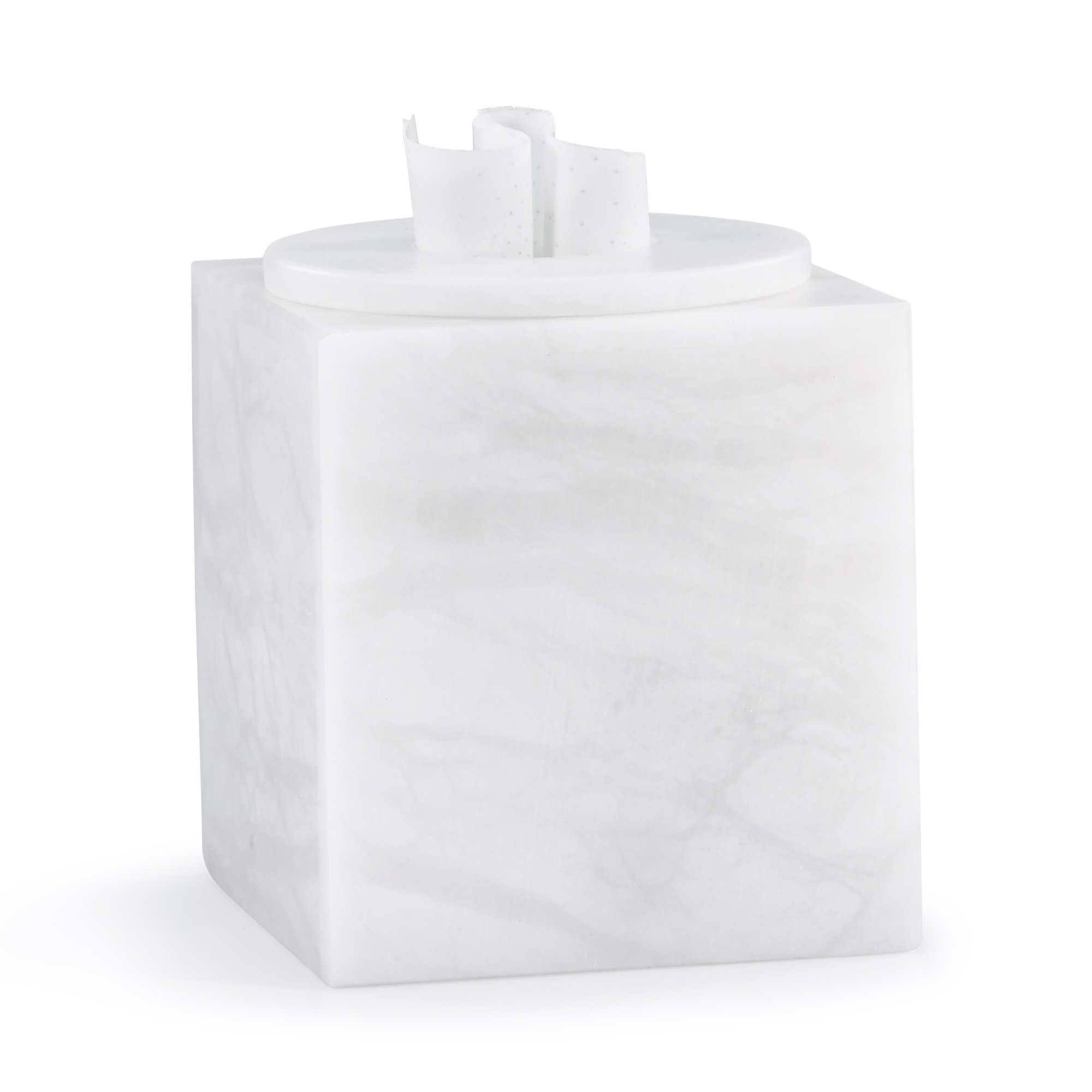 Labrazel Cosmos Tissue Cover | Perigold