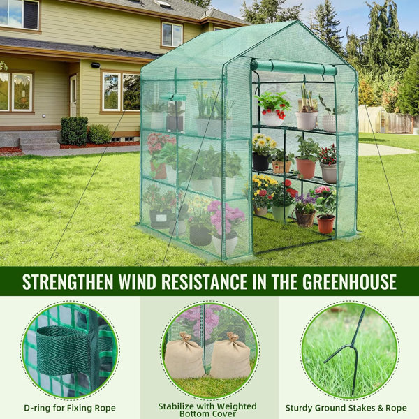Kazoo 56 X 56 X 75'' Greenhouses For Outdoors, Durable Green House Kit ...