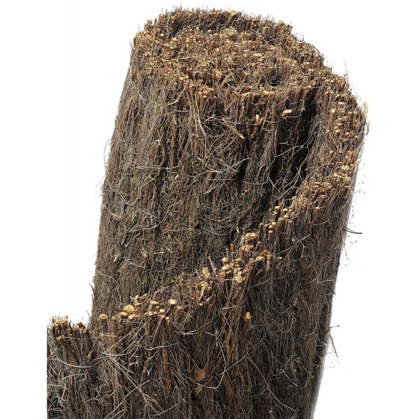 Symple Stuff Aelita Dense Briar Reed 118.11" x 59.05" (3m x 1.5m ...