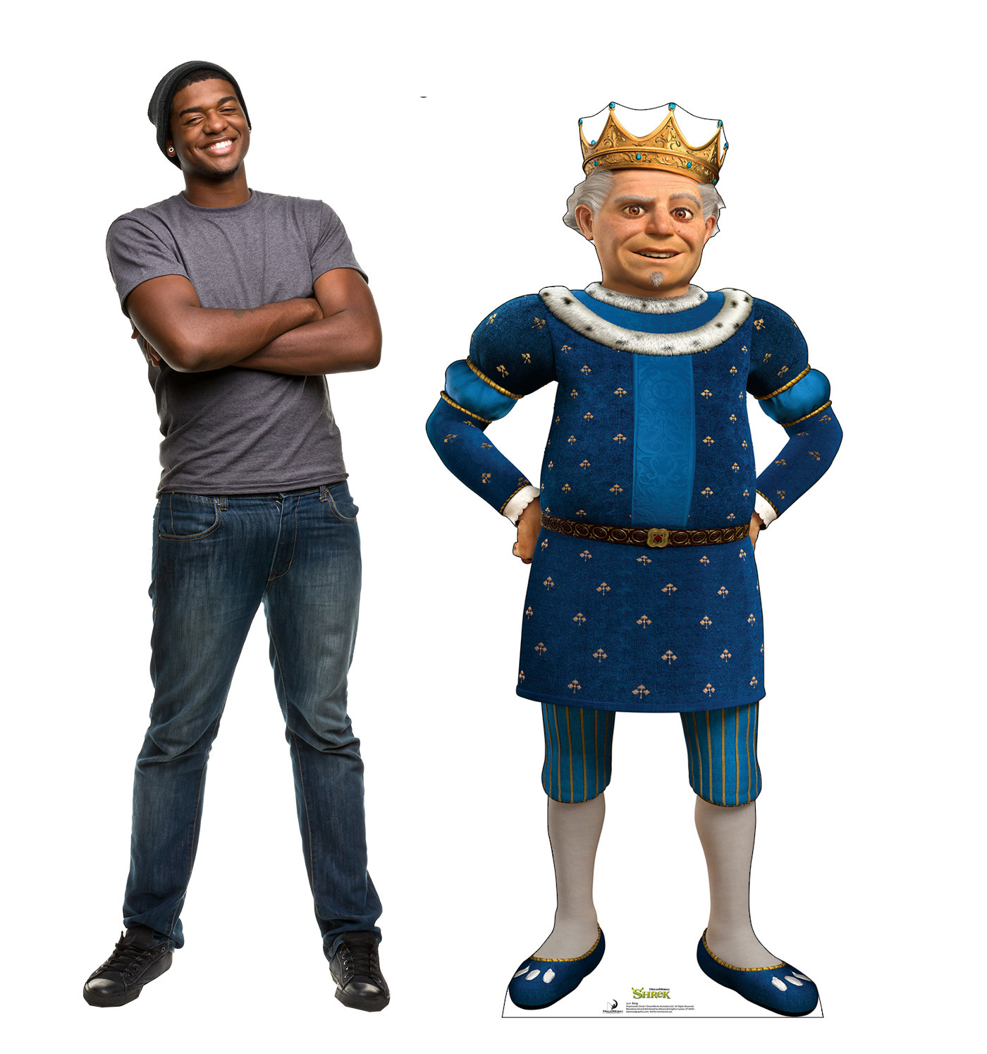 Advanced Graphics King (Shrek) | Wayfair