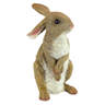 Design Toscano Hopper, the Bunny, Standing Garden Rabbit Statue ...