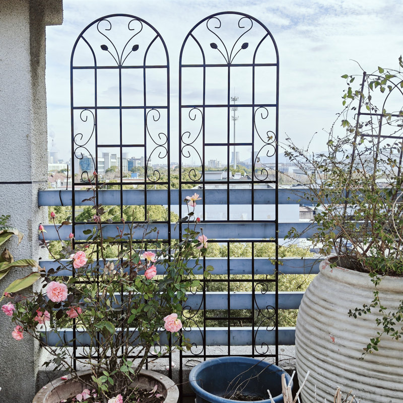 Red Barrel Studio® Metal Garden Trellis - Rustproof Trellis for ...