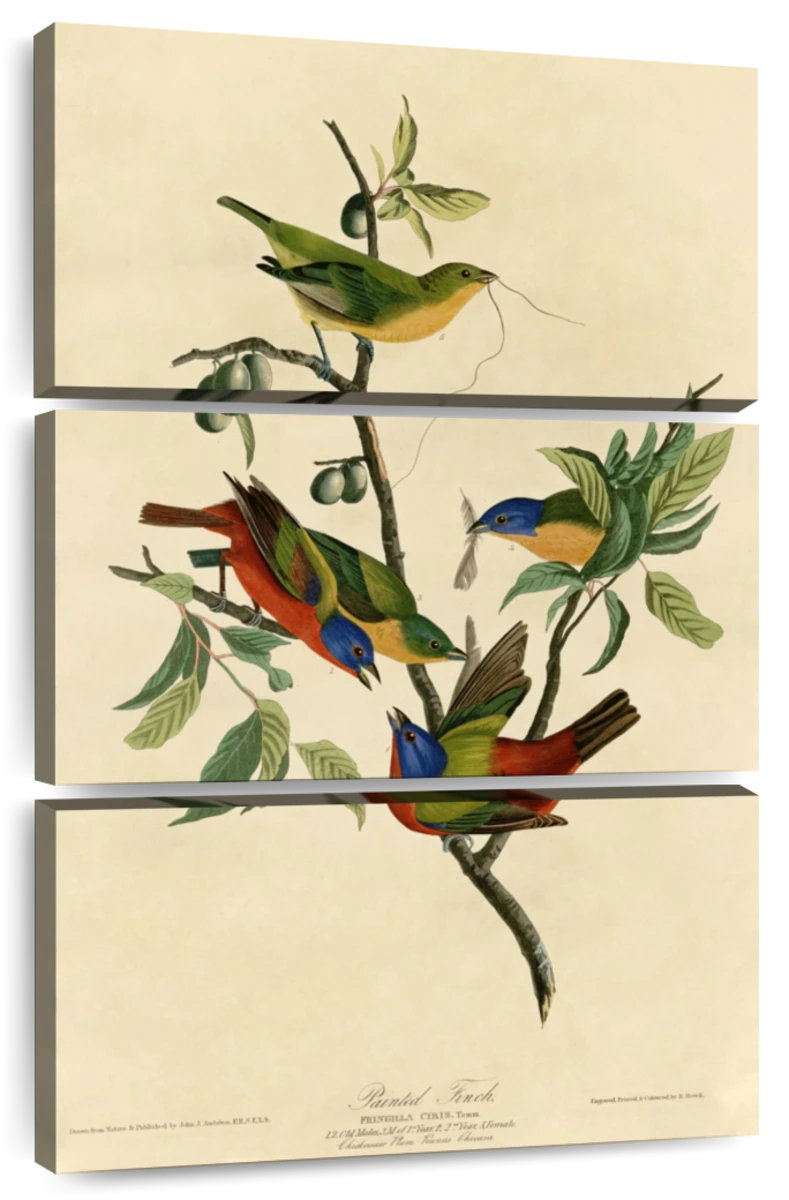 Ebern Designs Brampt Painted Finch | Wayfair