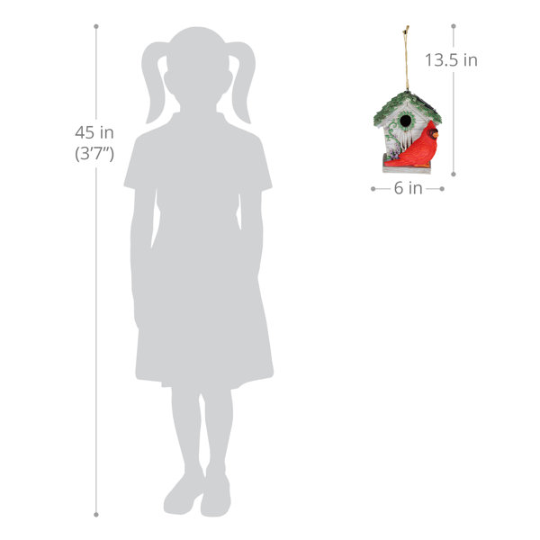 Exhart Solar Cardinal Hanging Bird House, 6 by 8 Inches & Reviews | Wayfair