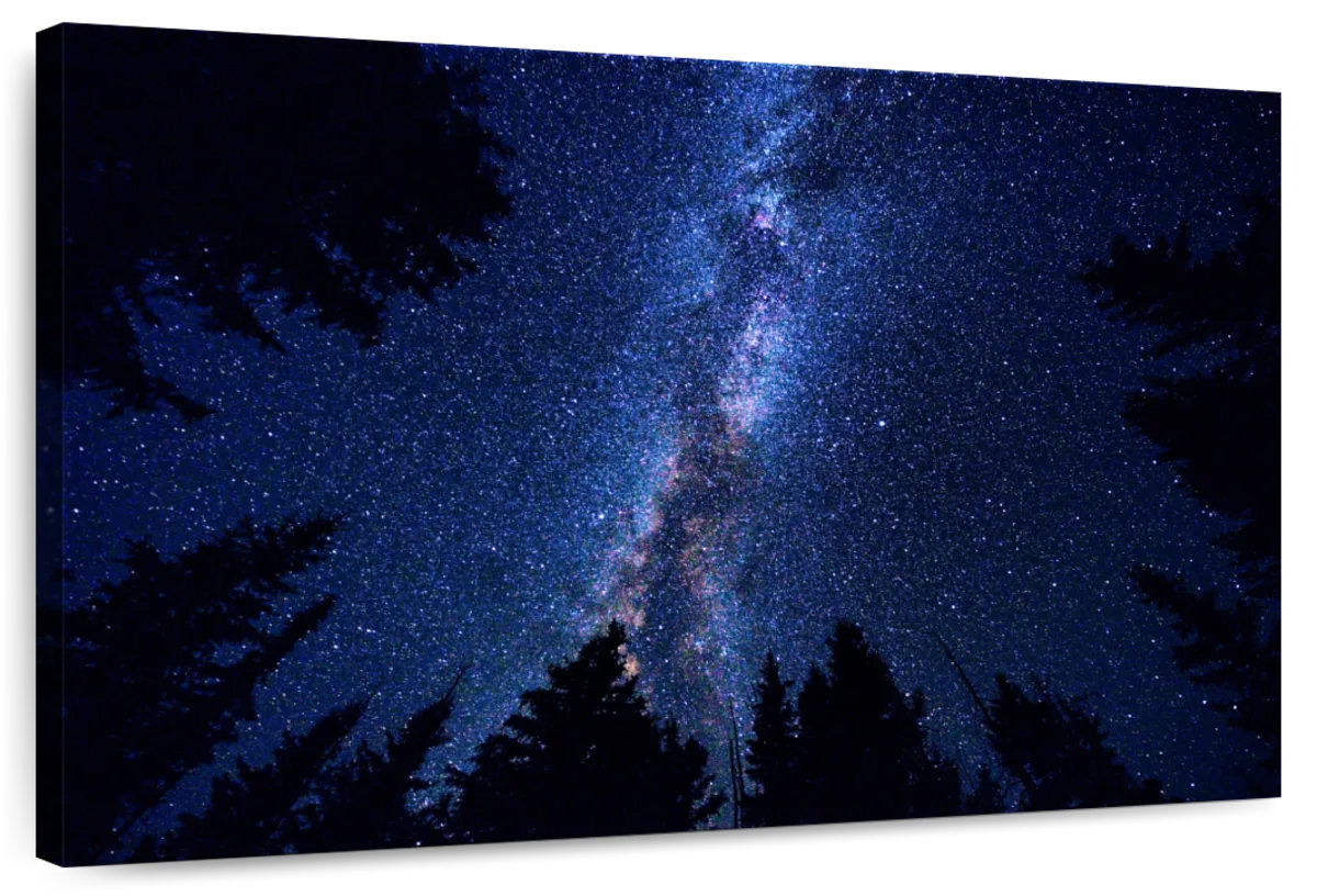 Ebern Designs Oberle Woodlands Milky Way - Wayfair Canada