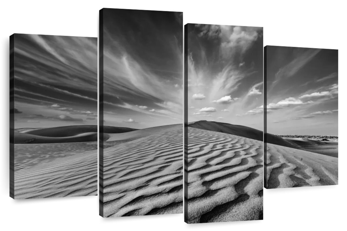 Union Rustic Monochrome Thar Desert | Wayfair