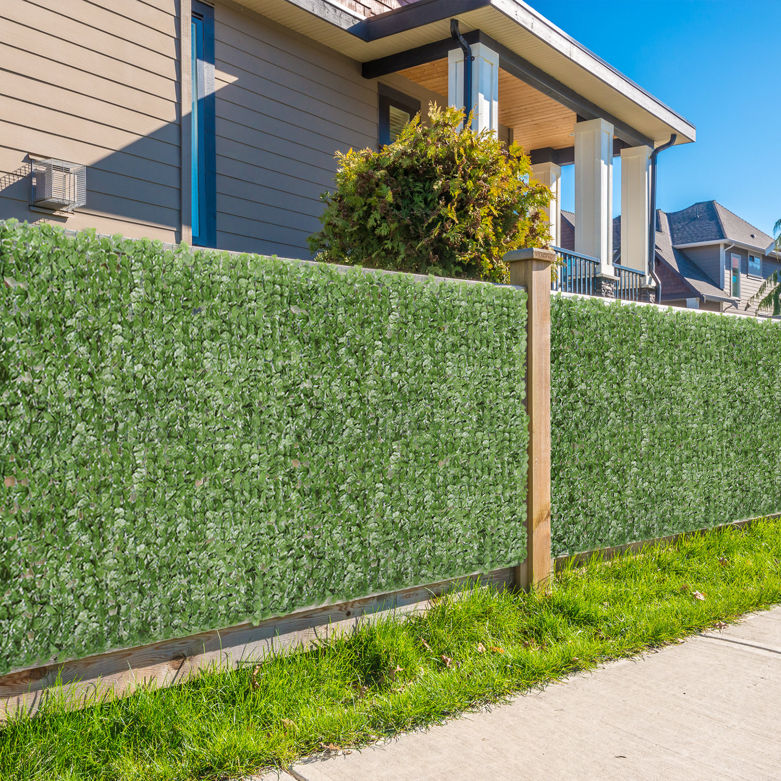 Primrue Wendy Faux Ivy Leaf Polyethylene Privacy Screen & Reviews | Wayfair