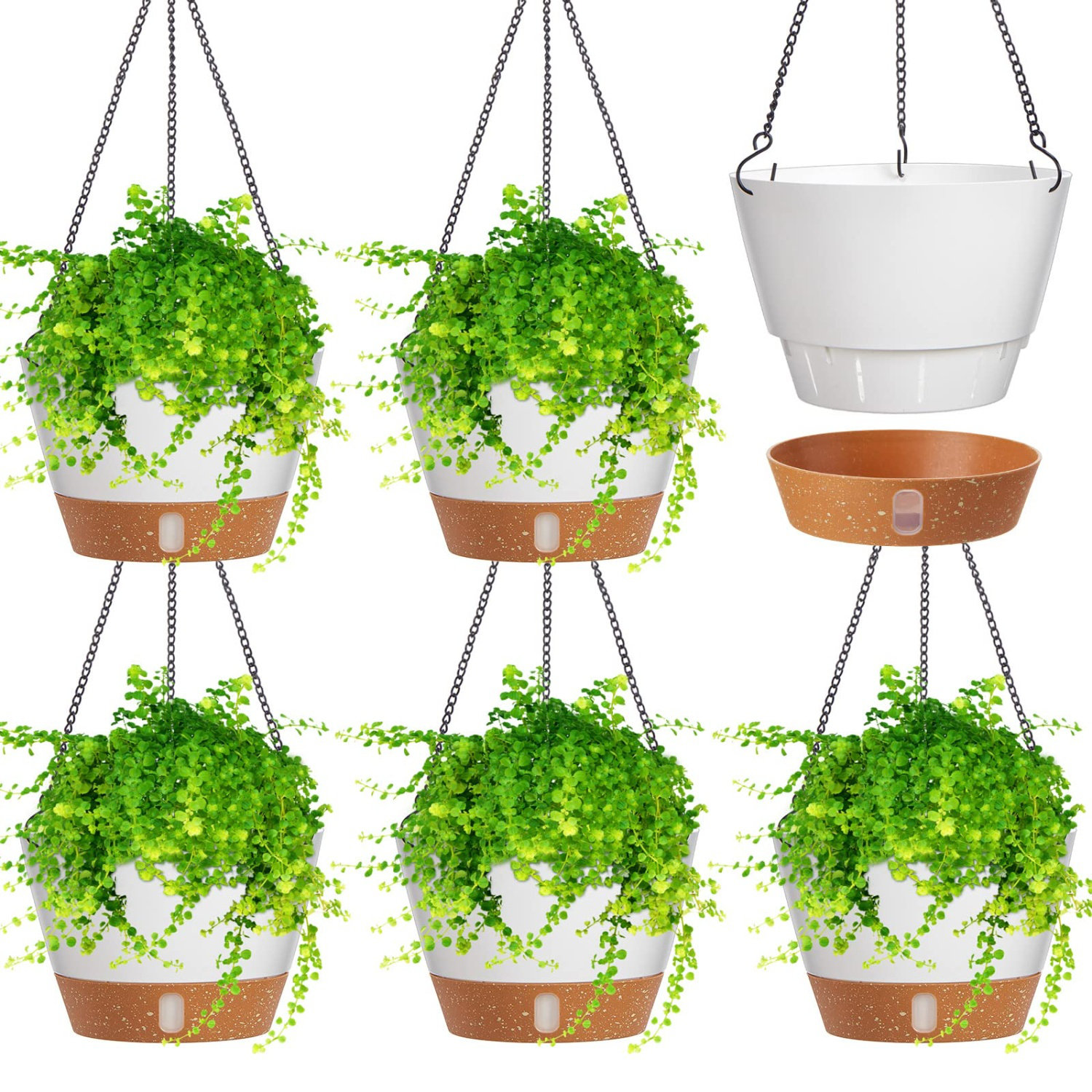 Latitude Run® 6 Pcs 8 Inch Hanging Planter For Indoor Plants Self ...