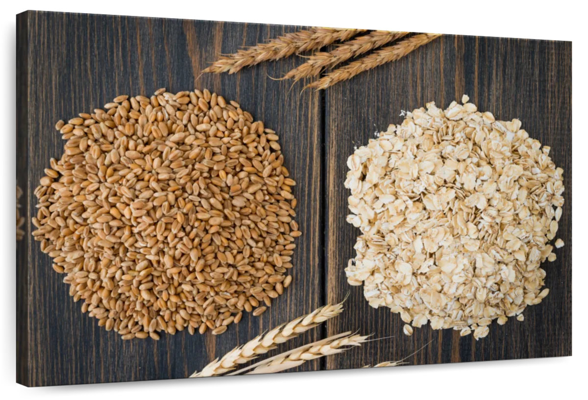 Latitude Run® Oat Seeds And Flakes - Wayfair Canada