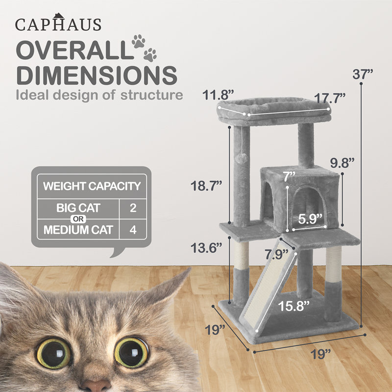 Caphaus Cat Tower For Indoor Cats, Modern Cute 37-inch Small Cat Tree ...