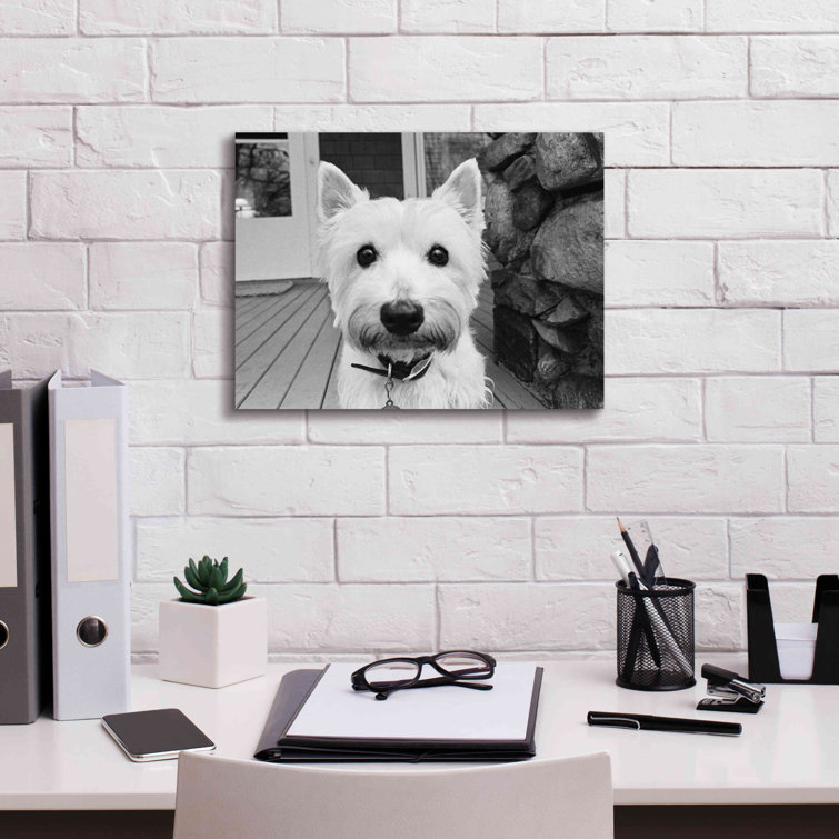 Ebern Designs Epic Graffiti 'Rosie' By Kim Levin, Canvas Wall Ar Rosie ...