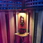 Design Toscano Faces In The Trees Tree Face Wall Decor & Reviews | Wayfair