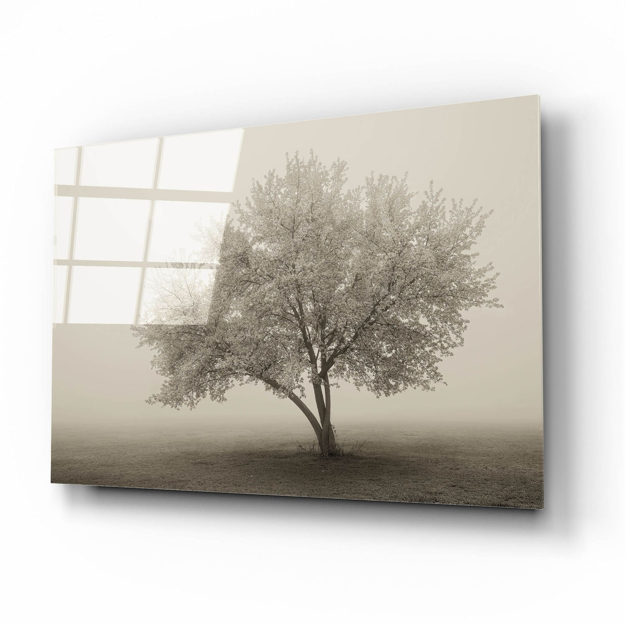 Latitude Run® Chareen Forever Spring On Plastic/Acrylic by Igor ...