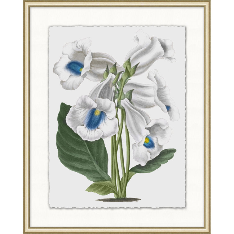 Wendover Art Group Floral Study 7 by Wendover Art Group | Perigold