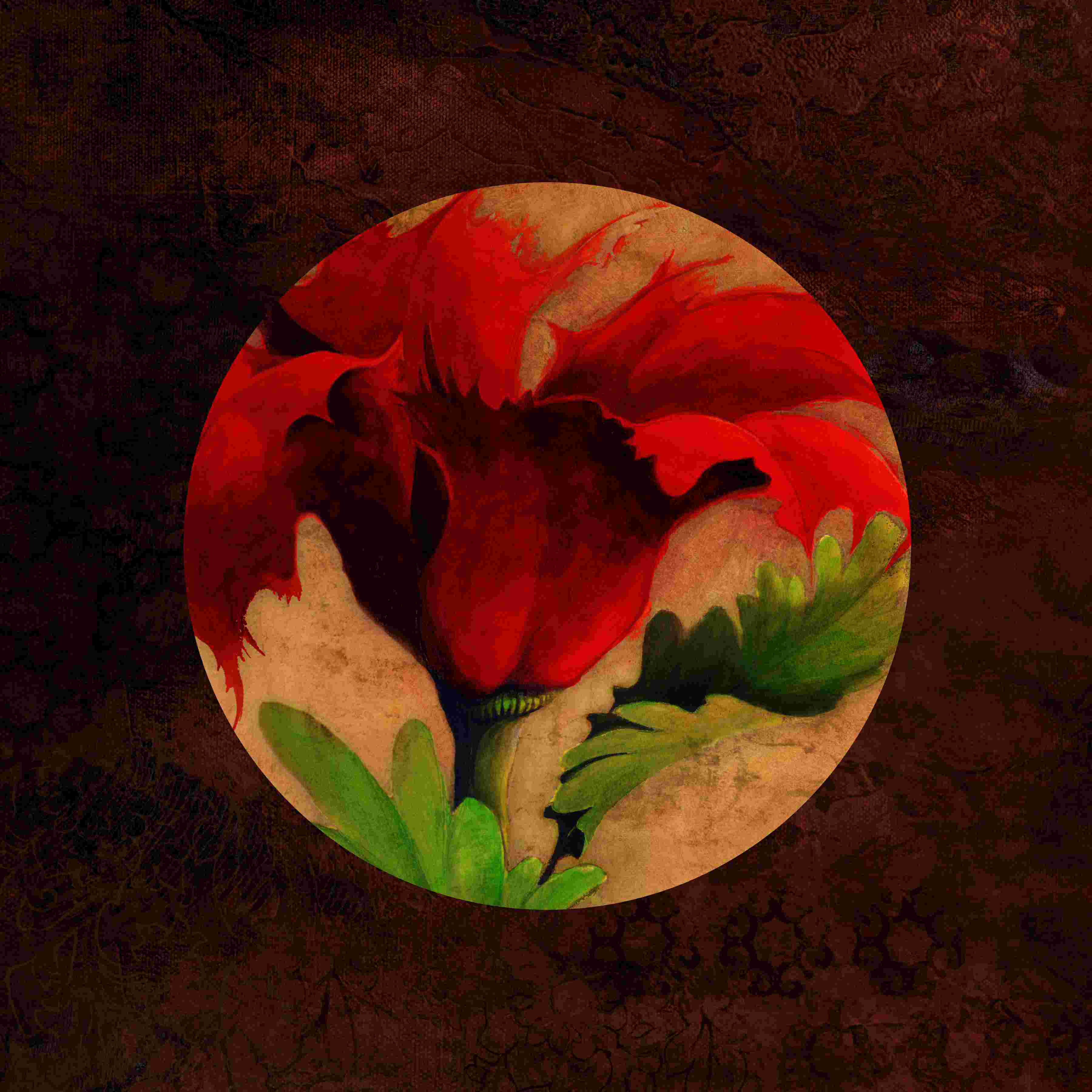 Winston Porter Red Circle Flowers 1 - Wrapped Canvas Graphic Art | Wayfair