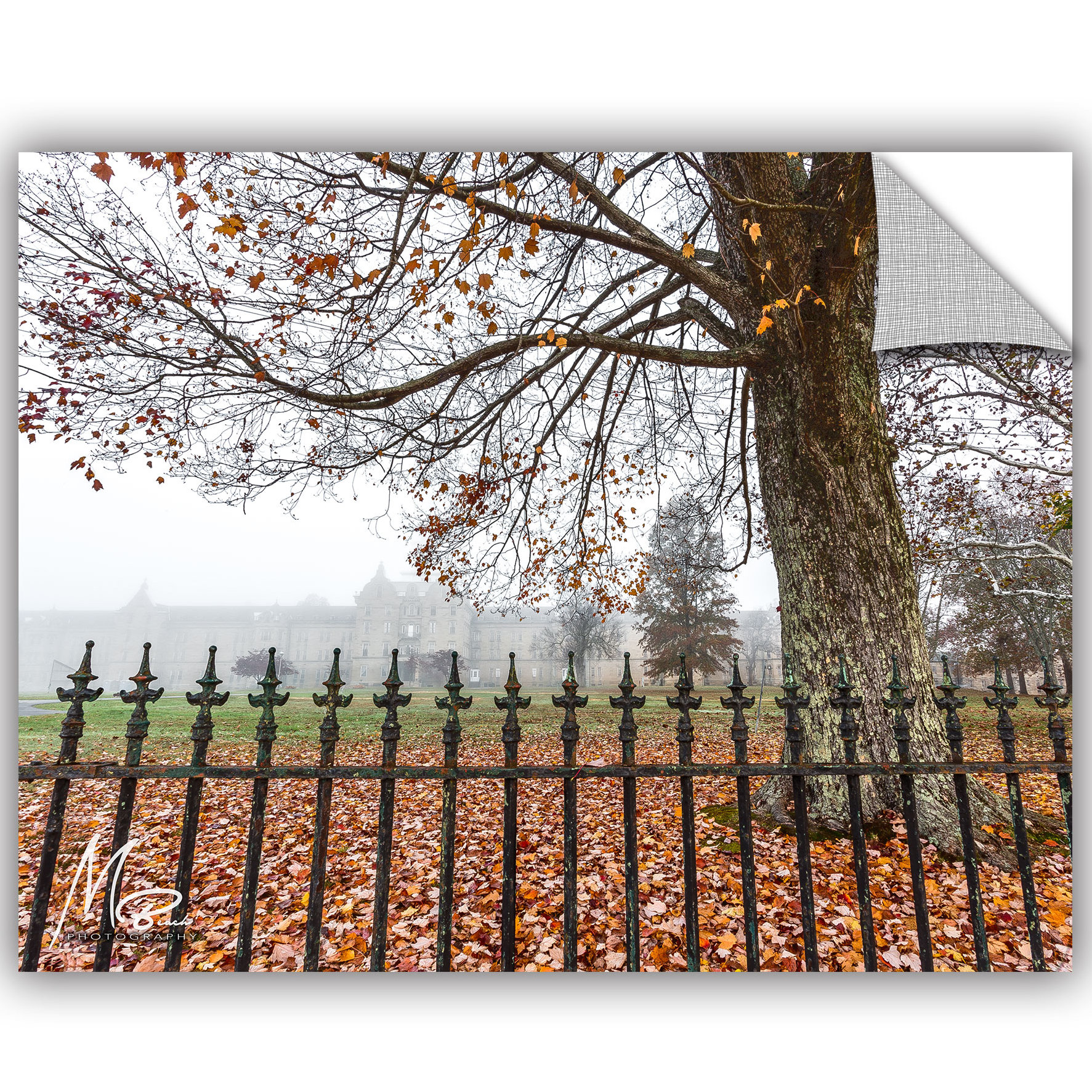 Ebern Designs Michael Beach Abandoned Lunatic Asylum 5 Removable Wall ...