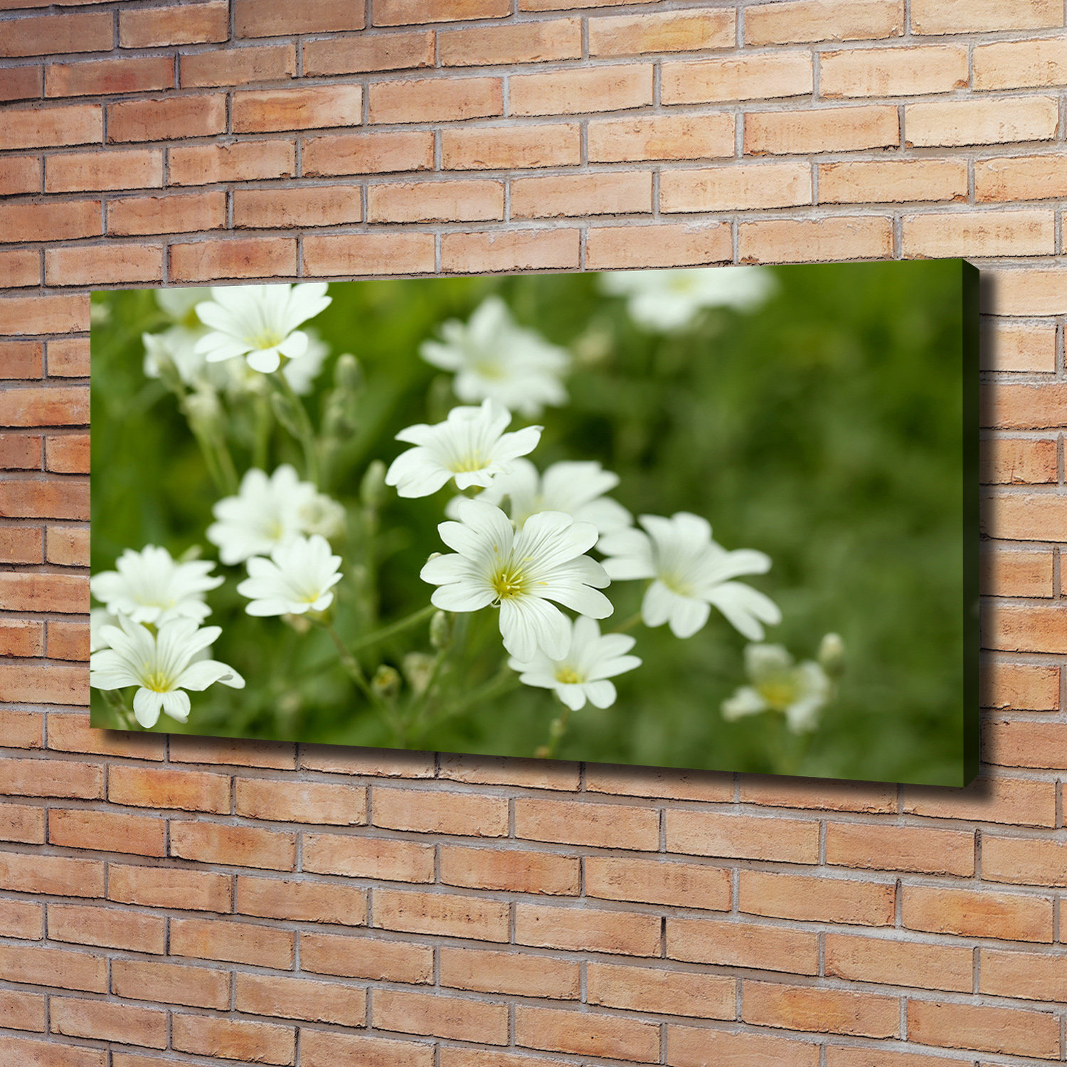 Brayden Studio Spring Flowers - Unframed Art Prints on Canvas | Wayfair ...