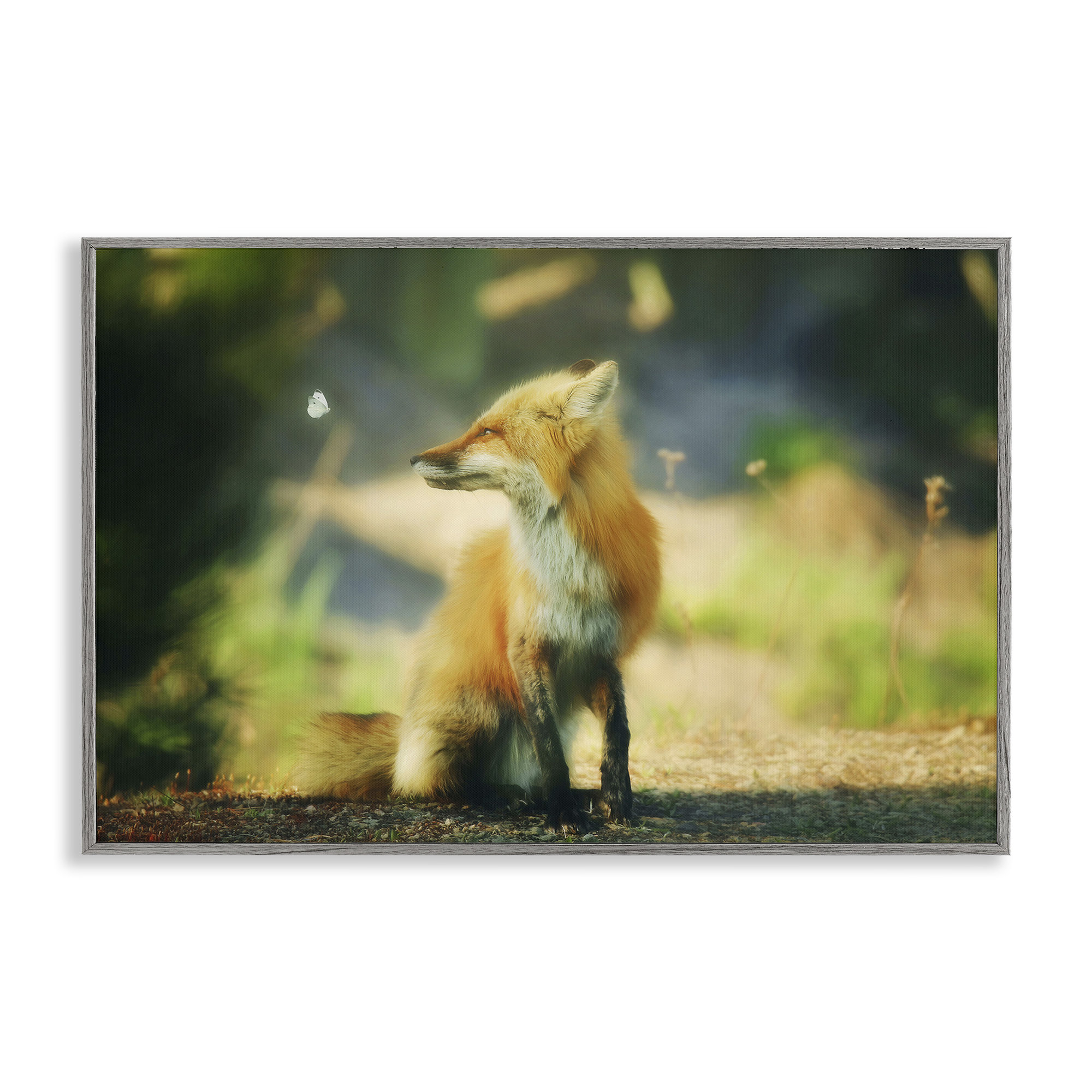 Stupell Industries Fox Kit & Butterfly Giclee Art by Carrie Ann Grippo ...