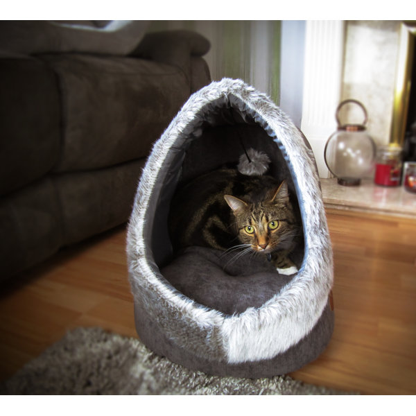 Archie & Oscar 45cm Bingham Cat Condo | Wayfair.co.uk