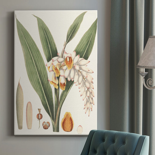 Bay Isle Home Soft Tropical I " Soft Tropical I " Painting Print ...
