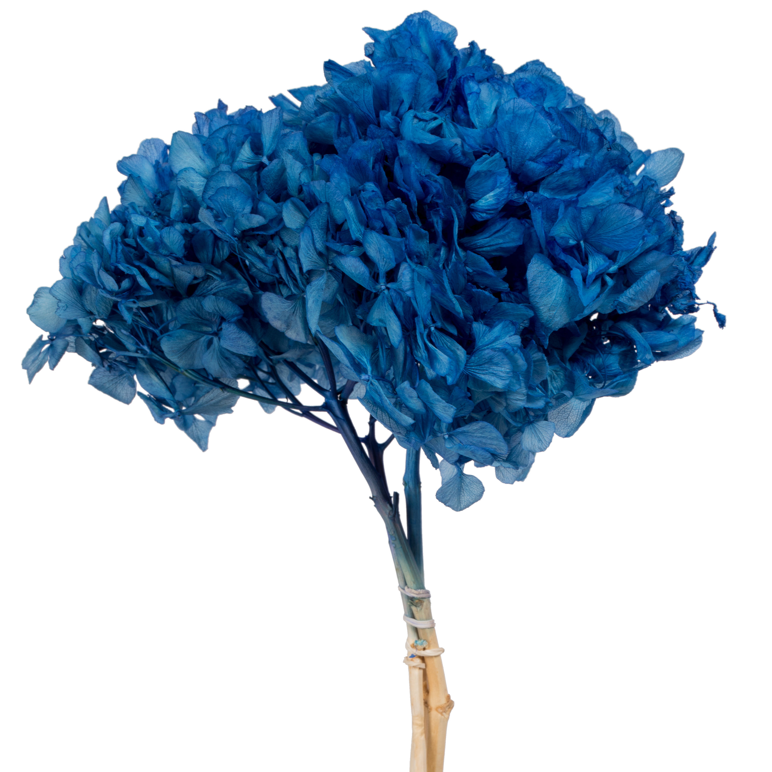 Primrue Natural Botanicals 15" Hydrangea with Multiple Branch Segments ...
