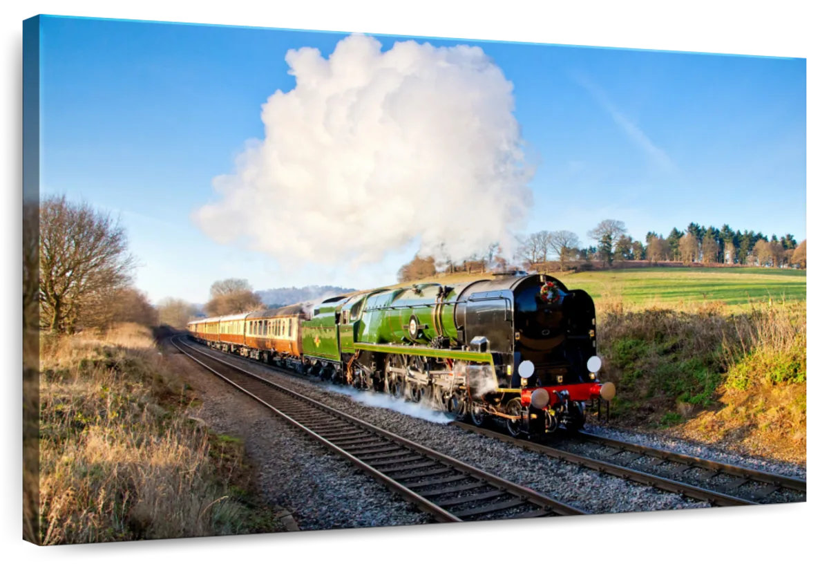 Elephant Stock Countryside Steam Train | Wayfair