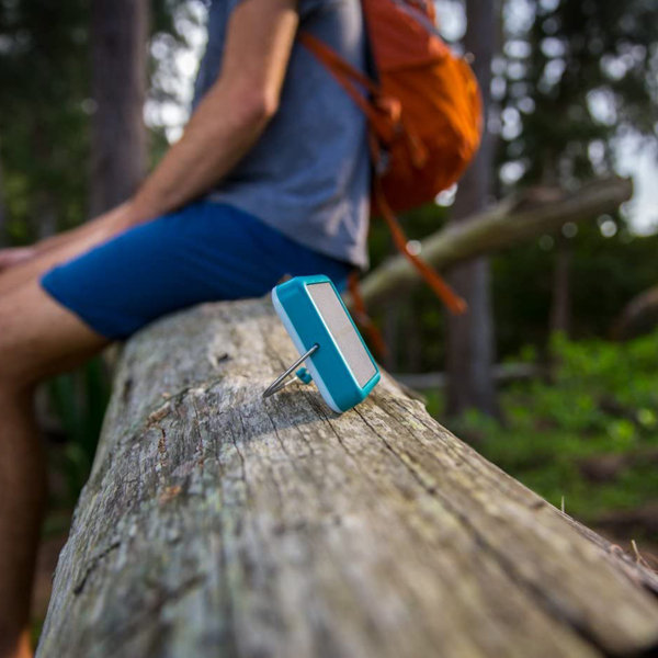 BioLite Solar Powered Color Changing Flashlight & Reviews | Wayfair