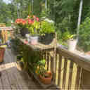 Bay Isle Home™ Bushnell Solid Wood Balcony Table & Reviews | Wayfair