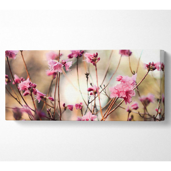 Ebern Designs Spring Teasers - Wrapped Canvas Art Prints | Wayfair.co.uk