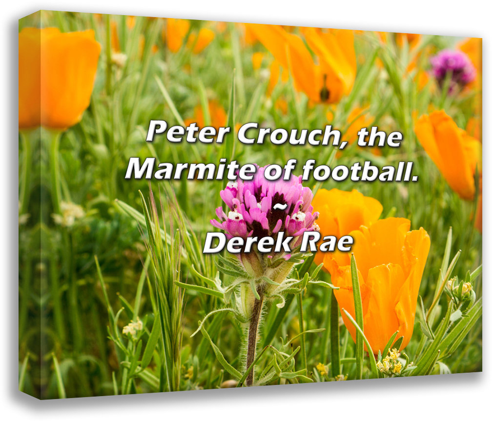 Trinx Derek Rae Quote: Peter Crouch, the Marmite of football. | Wayfair